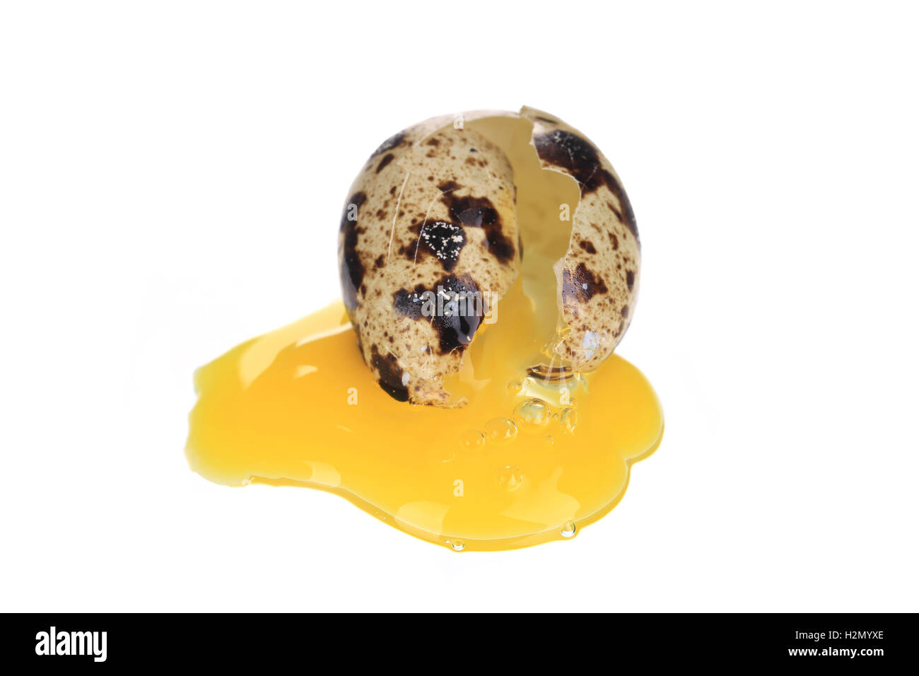 Quail egg broken one hi-res stock photography and images - Alamy