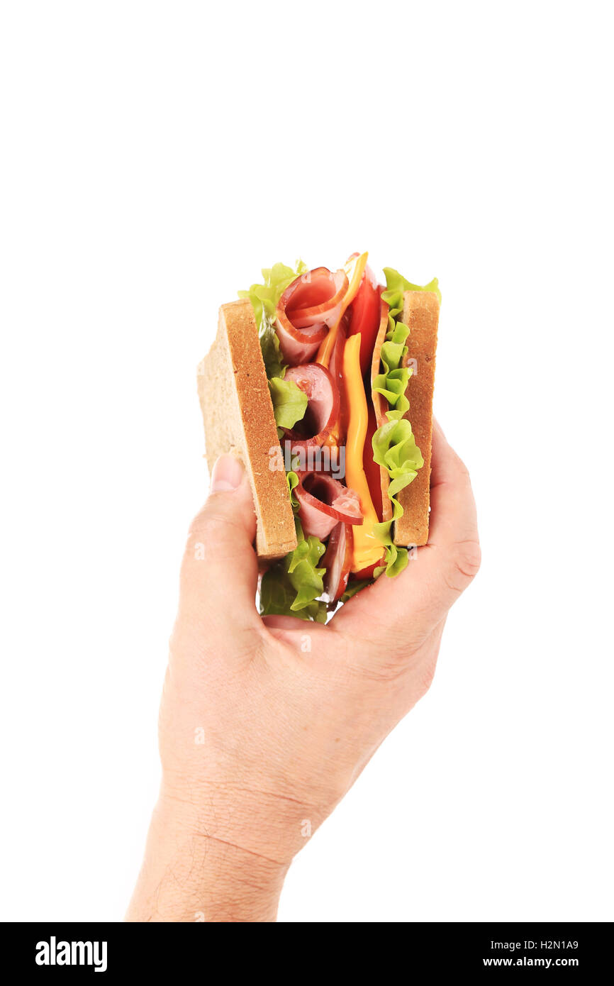 Hand holding tasty sandwich Stock Photo - Alamy