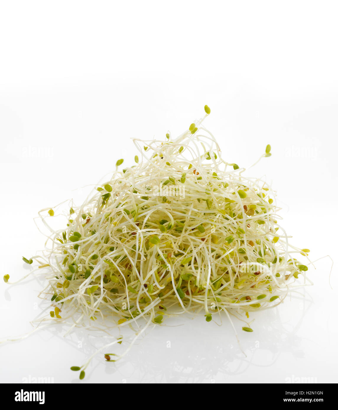 Fresh Alfalfa Sprouts Stock Photo - Alamy