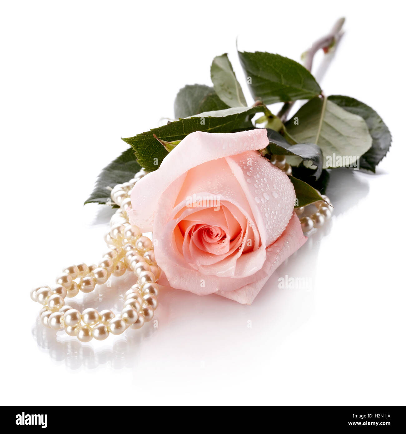 Pink rose and pearl beads Stock Photo - Alamy