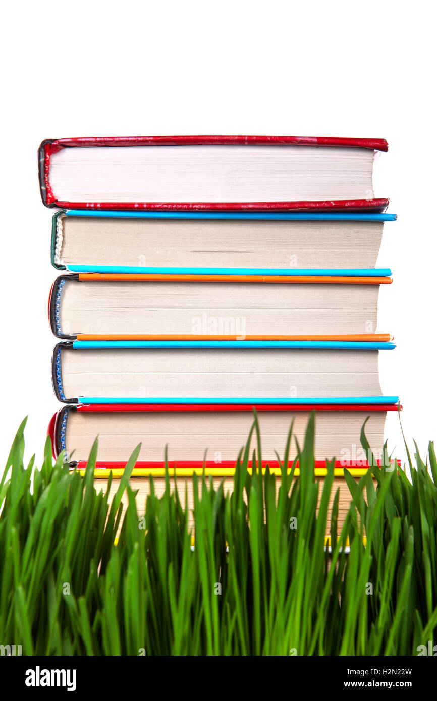Pile of the Books on the Grass Stock Photo - Alamy