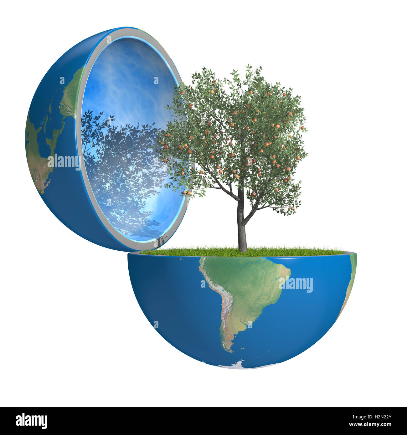 Fruit globe planet earth world hi-res stock photography and images - Alamy