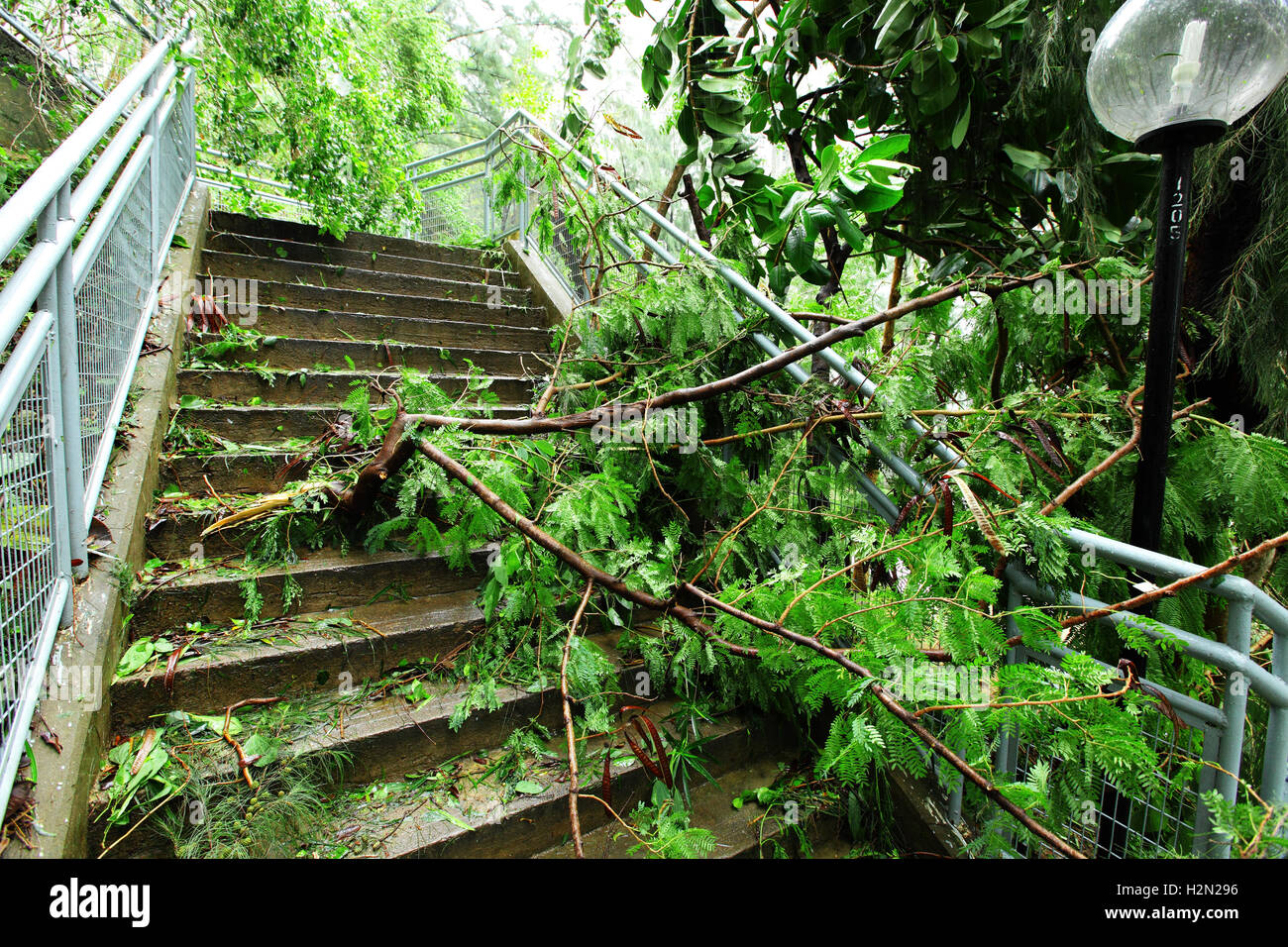 Destroyed after typhoon Stock Photo - Alamy