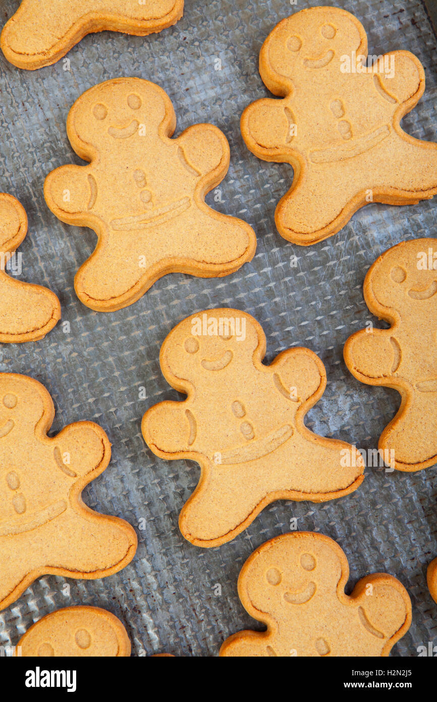 Making festive gingerbread cookies hi-res stock photography and images ...