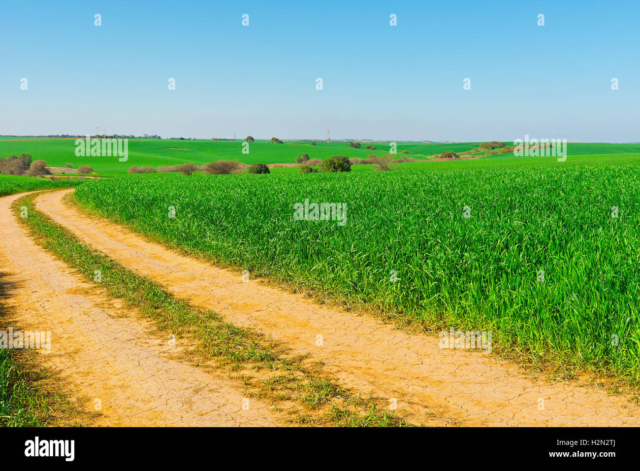 Israel in the Spring Stock Photo - Alamy