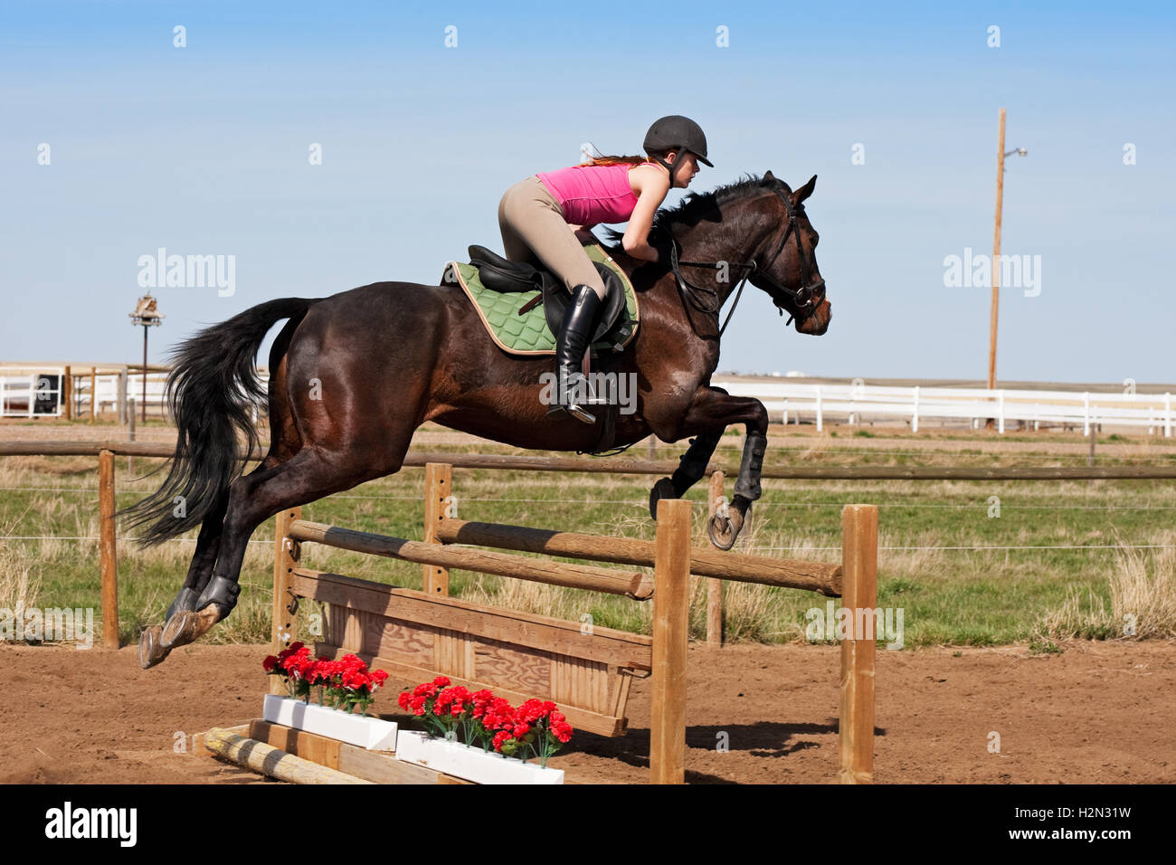Champion hurdle trial hi-res stock photography and images - Alamy