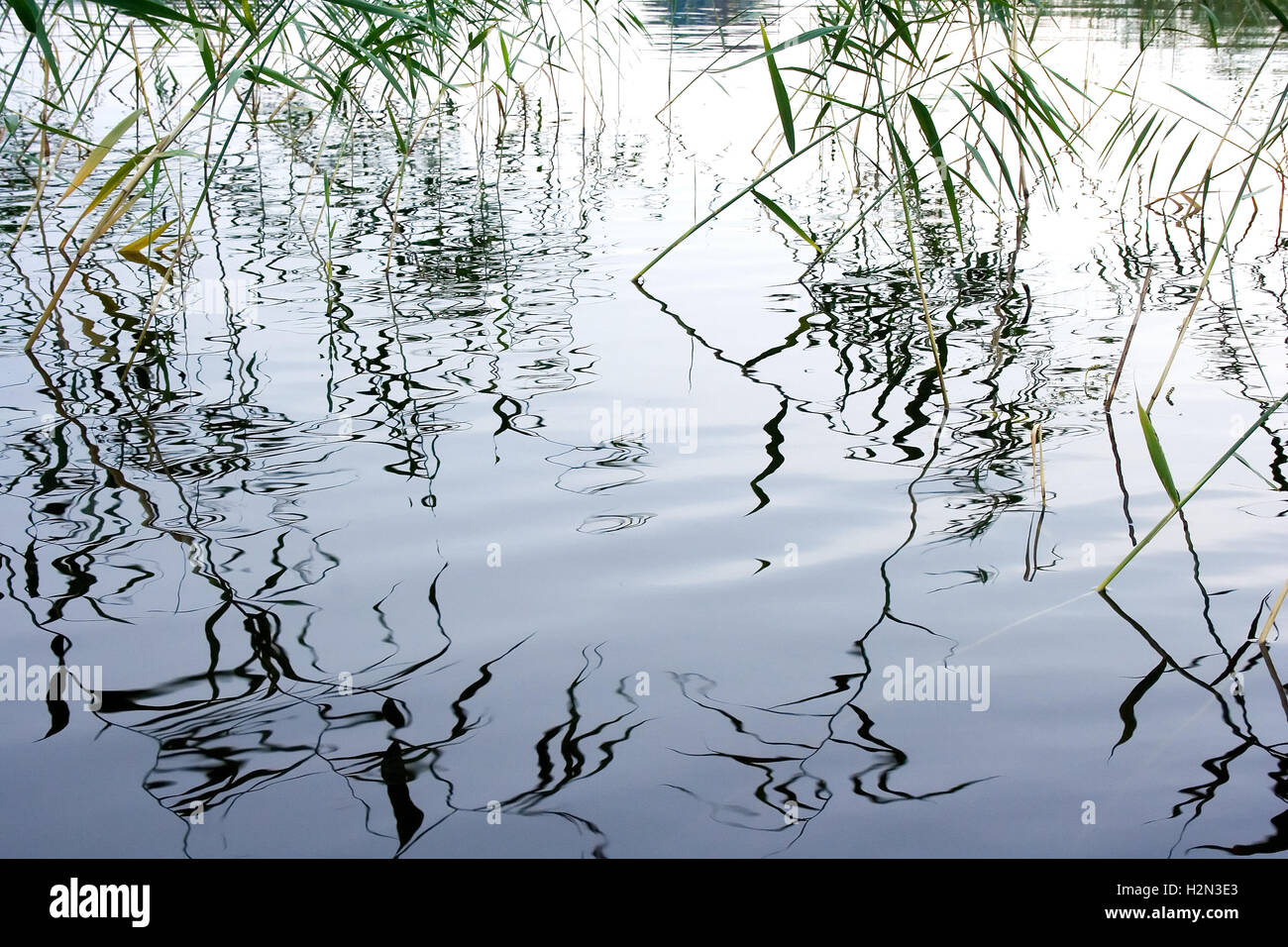 Wavy water hi-res stock photography and images - Alamy