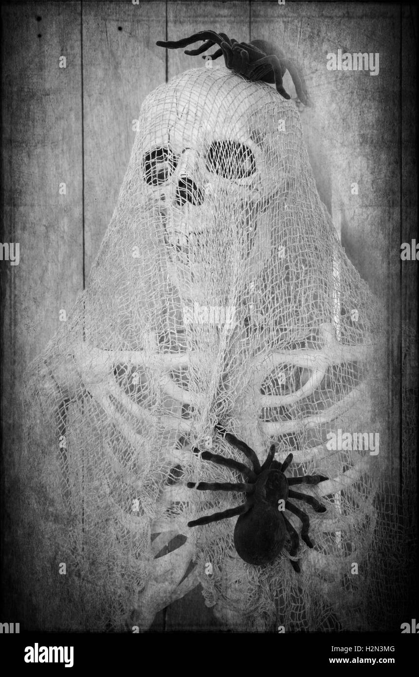 Creepy Halloween Skeleton Stock Photo - Alamy