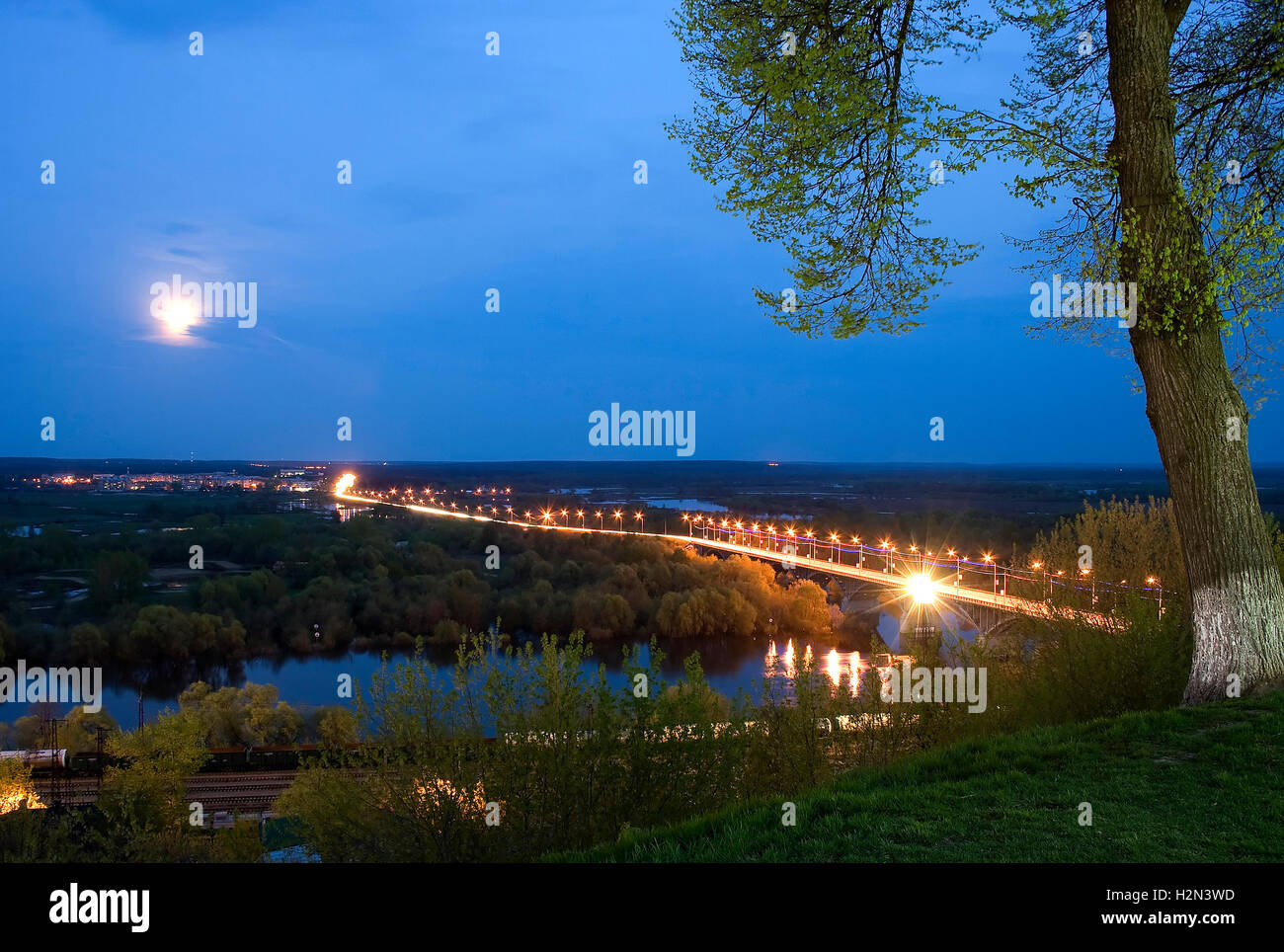 Night or russian landscape: a tree and grass as a foreround; river ...