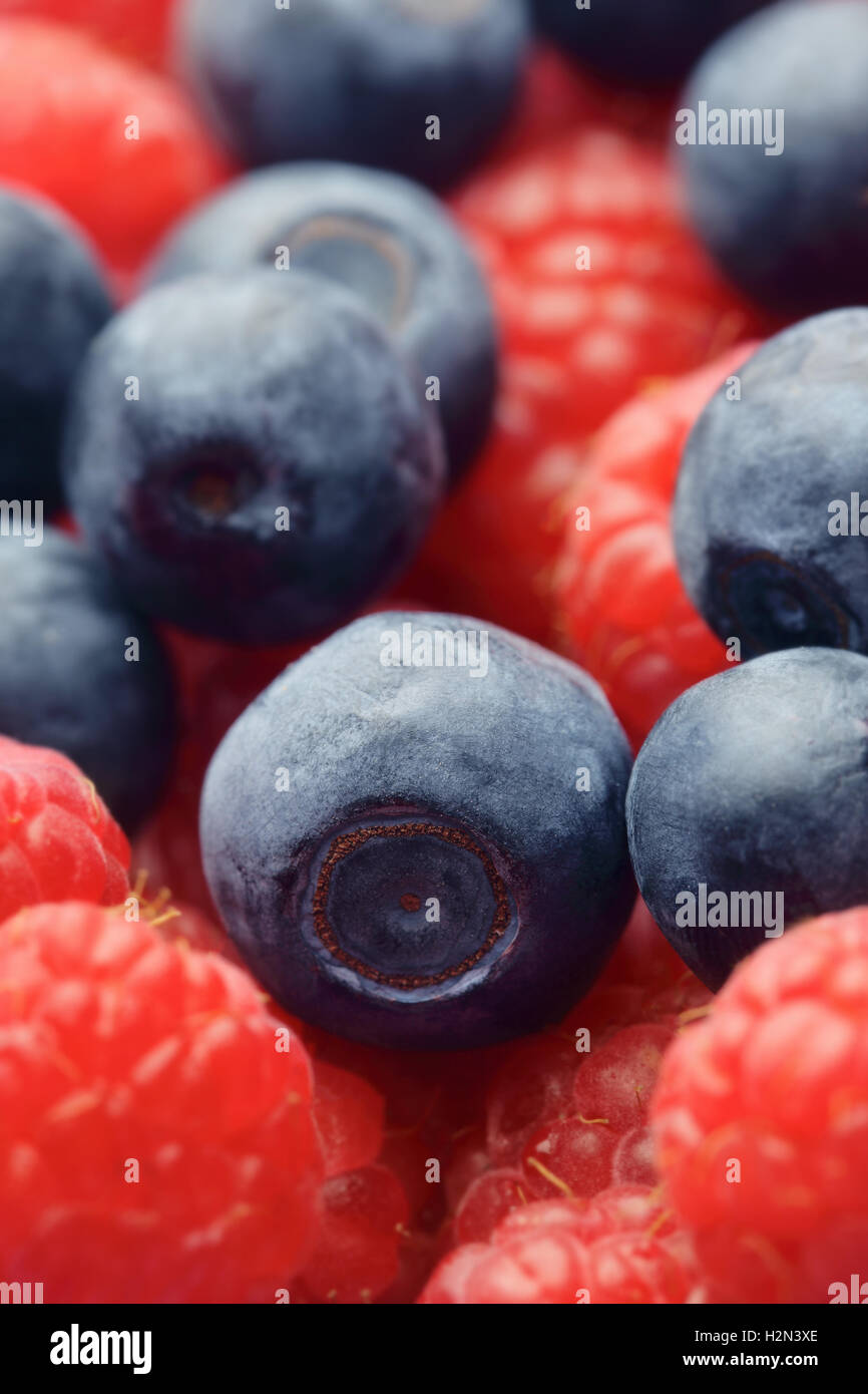 Raspberries & Blueberries Stock Photo - Alamy