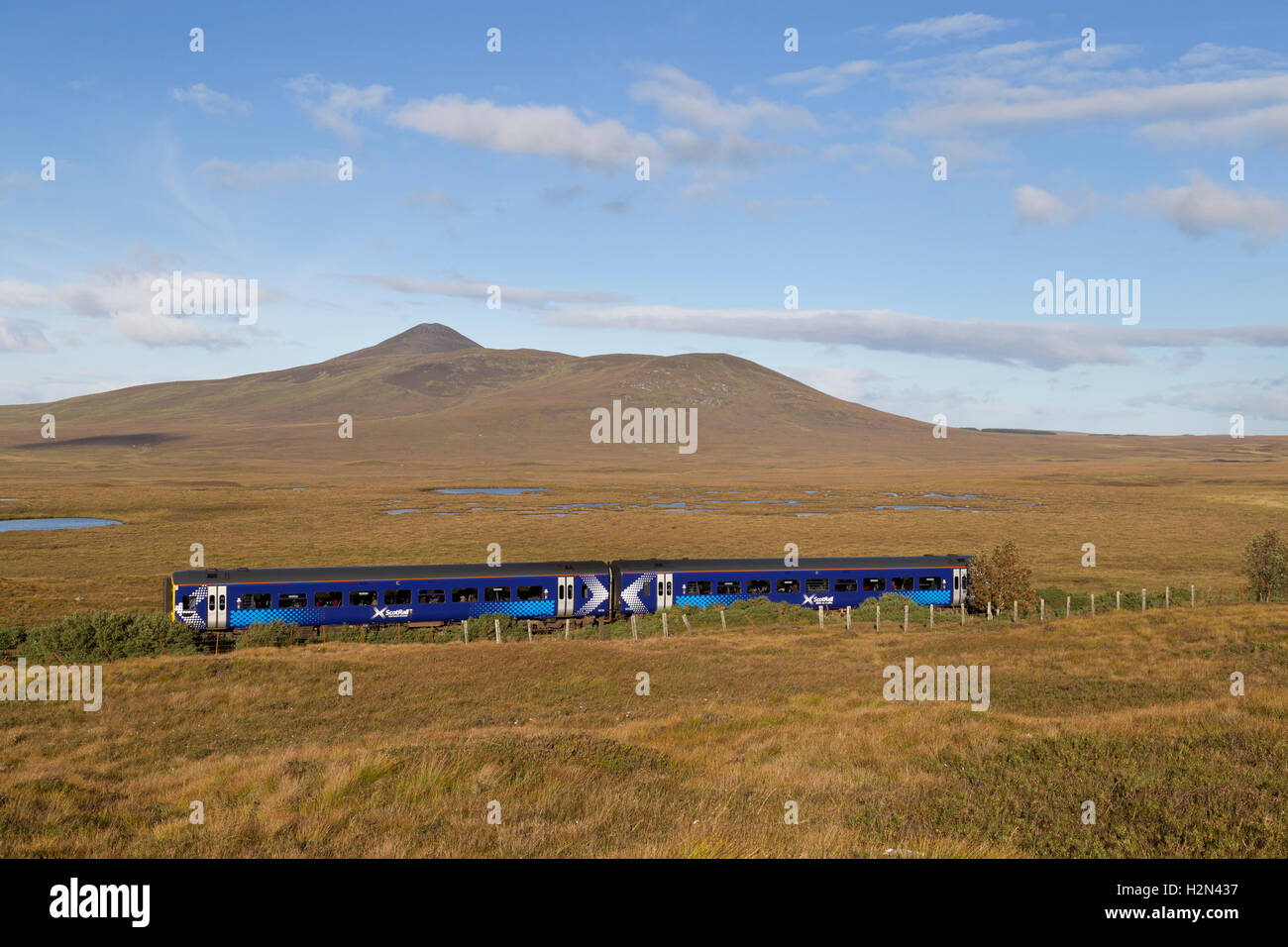 Scotrail train in Sutherland, Highland Scotland Stock Photo - Alamy
