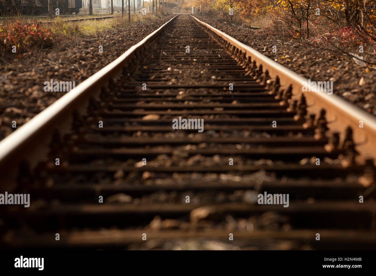 Railways During Autumn In Woods Stock Photo Alamy