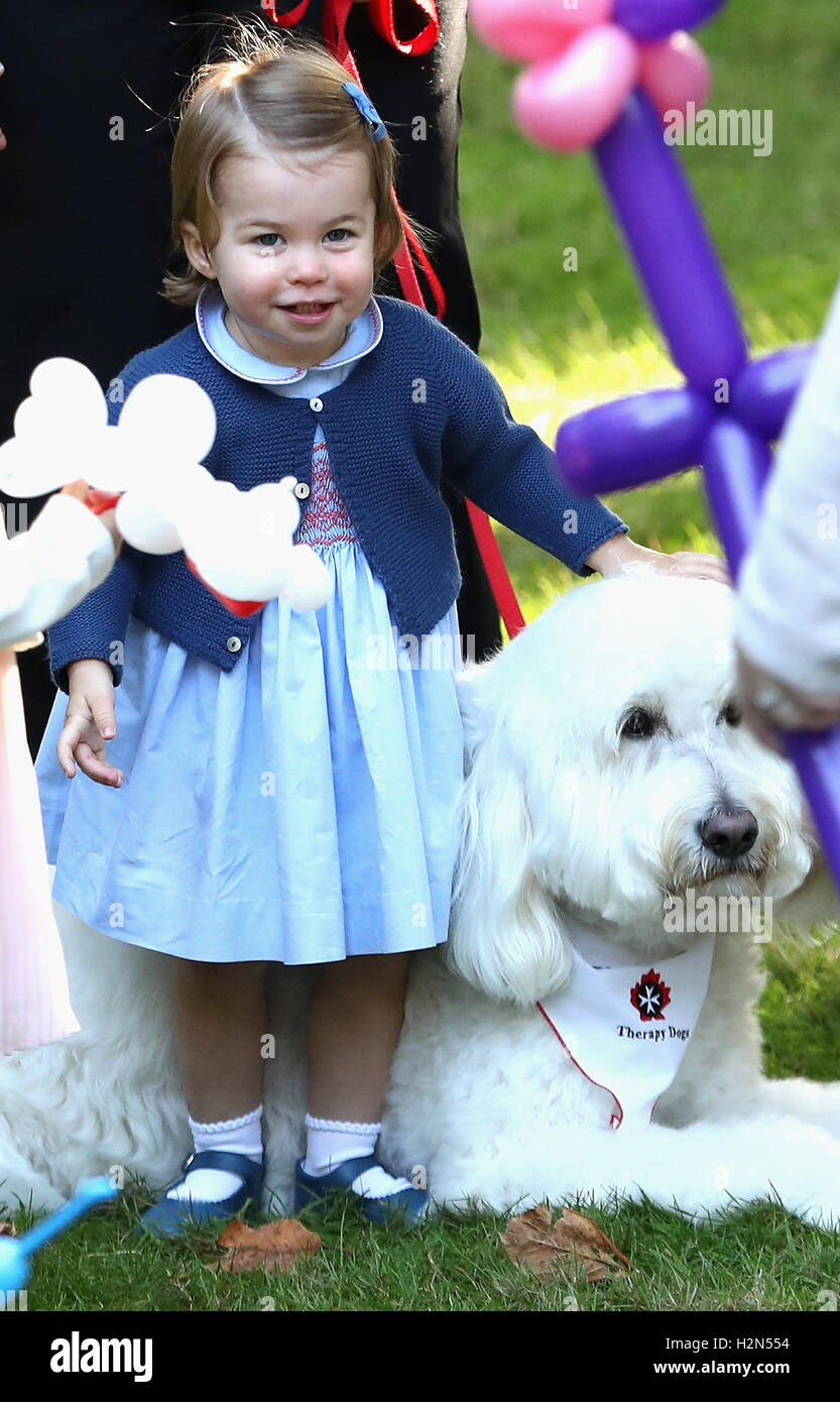 Kate moose hi-res stock photography and images - Alamy