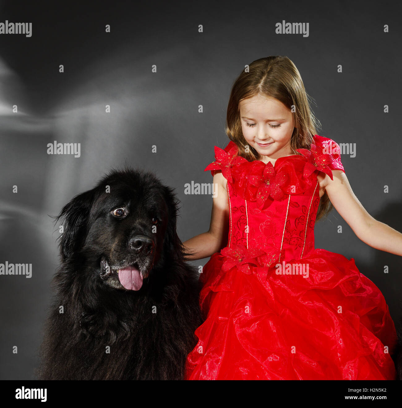 Beauty and the Beast. Little girl with big black water-dog portrait ...