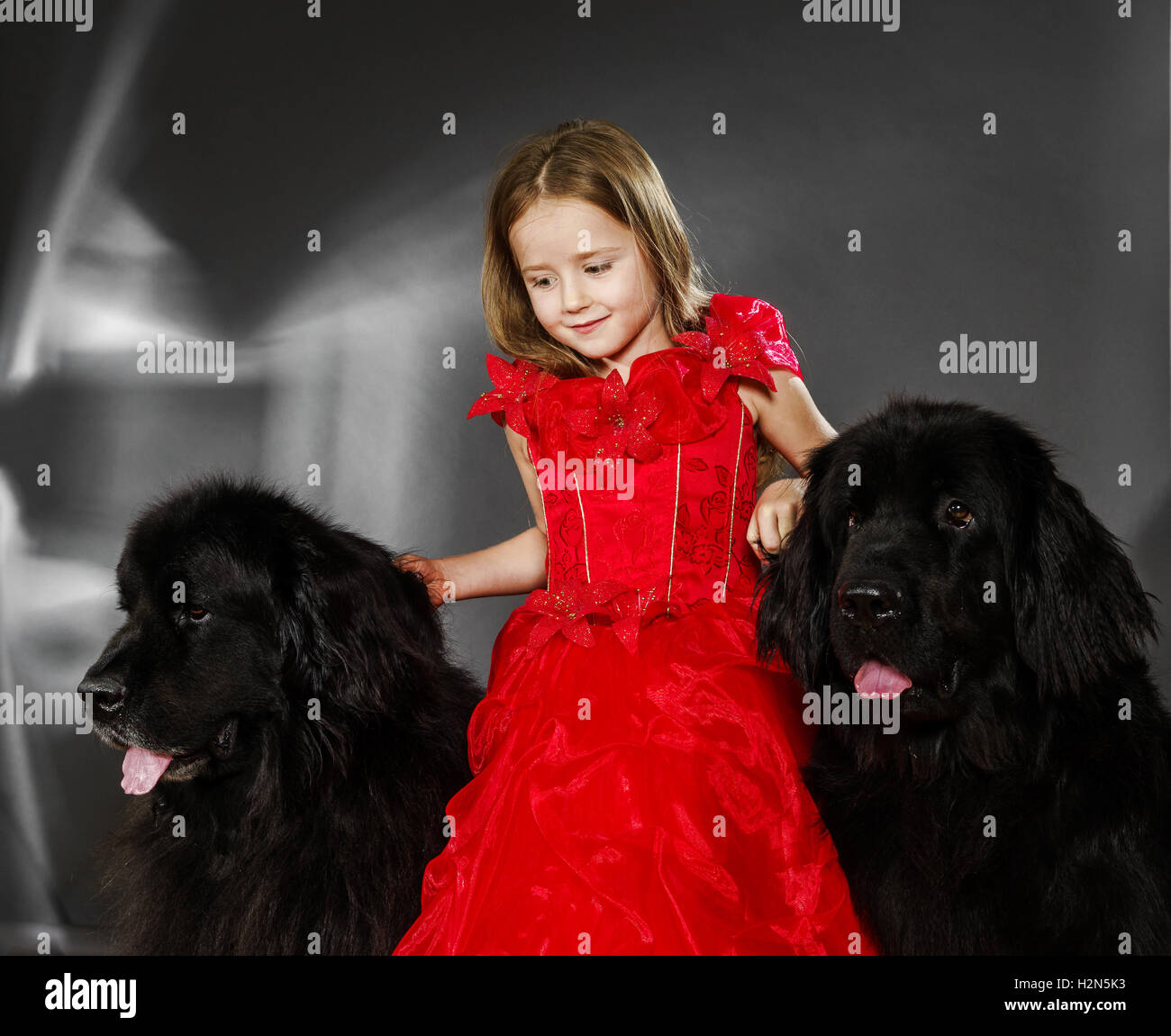 Beauty and the Beast. Little girl with big black water-dog portrait ...