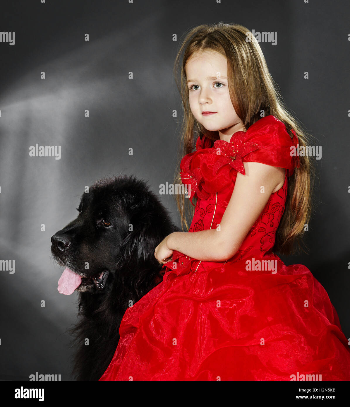 Beauty and the Beast. Little girl with big black water-dog portrait ...