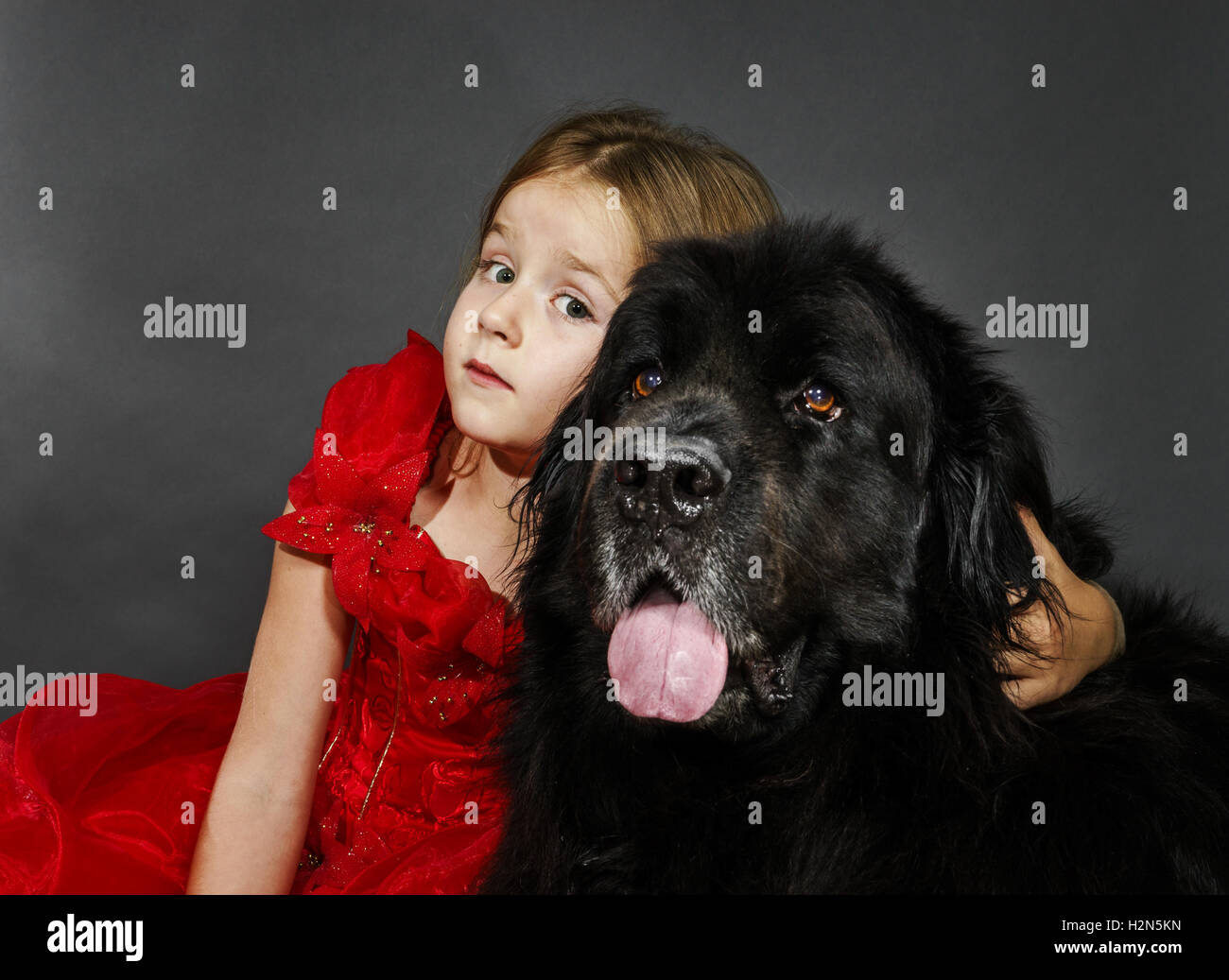 Beauty and the Beast. Little girl with big black water-dog portrait ...