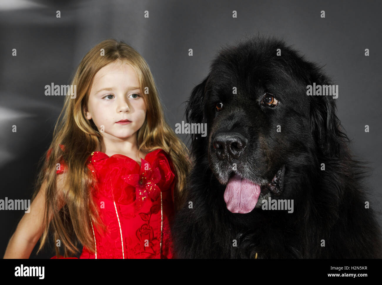 Beauty and the Beast. Little girl with big black water-dog portrait ...