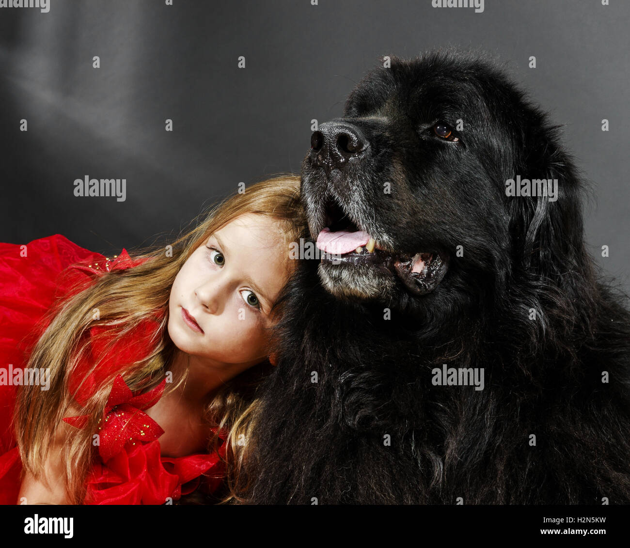 Beauty and the Beast. Little girl with big black water-dog portrait ...