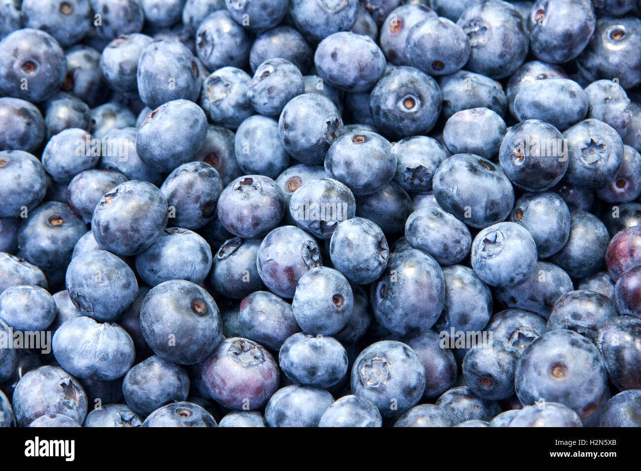 Fresh blueberries background hi-res stock photography and images - Alamy
