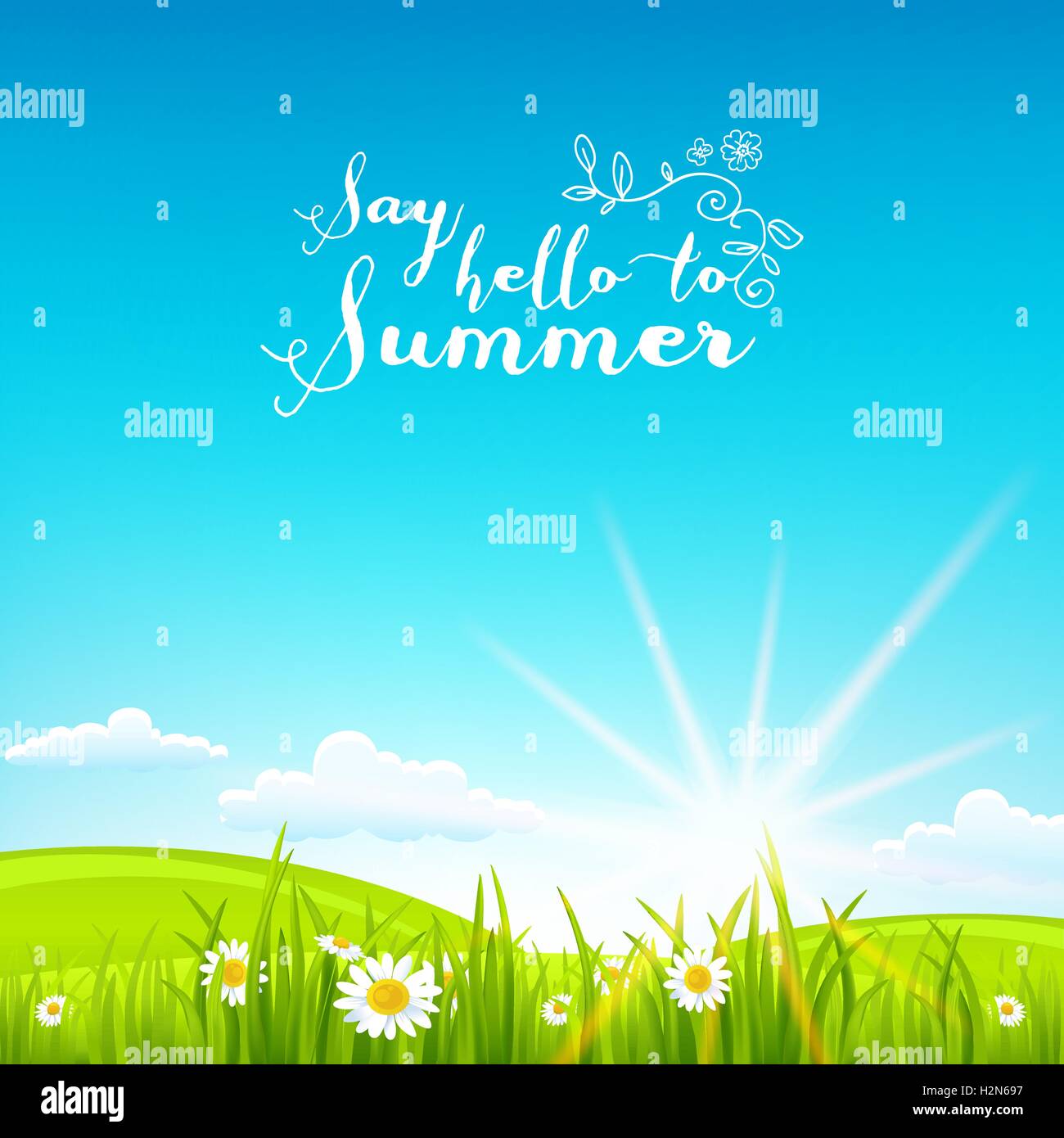 Beautiful summer background Stock Vector Image & Art - Alamy