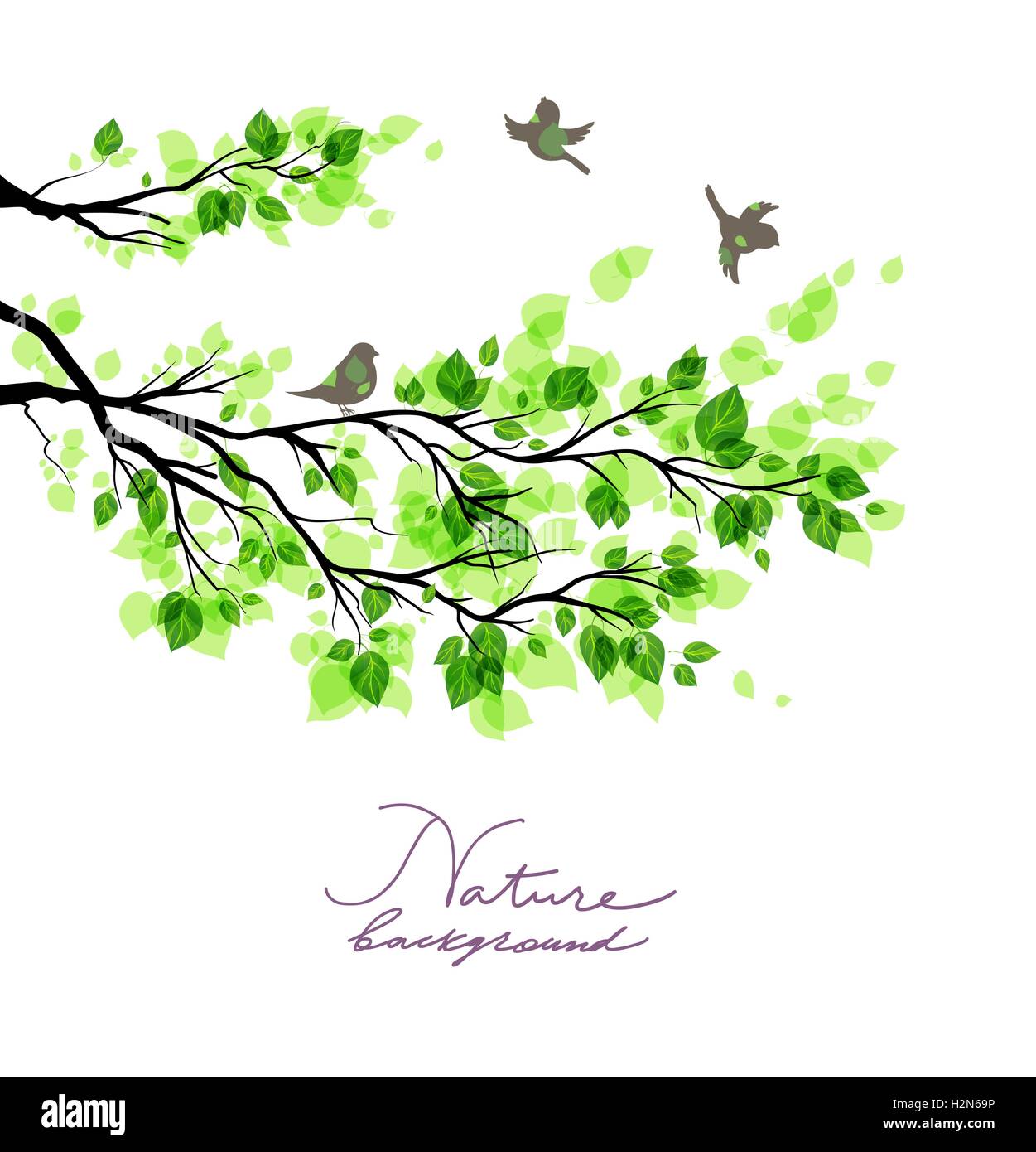 Spring landscape green branches Stock Vector Images - Alamy