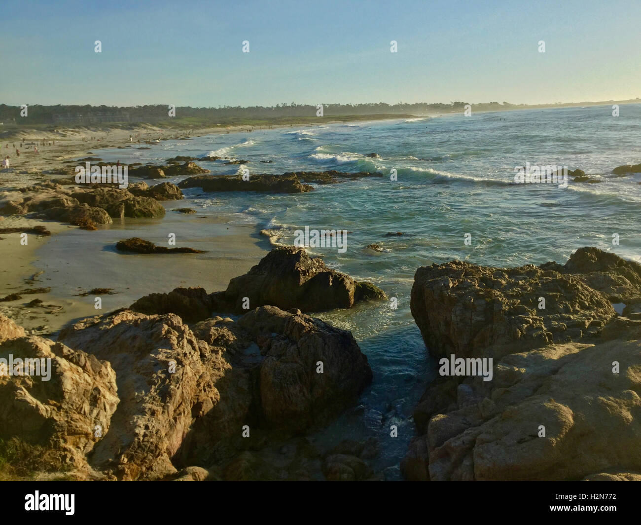 Monterey california asilomar beach hi-res stock photography and images ...