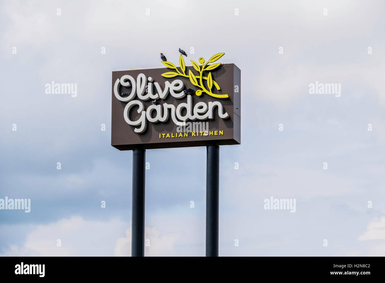 A pole sign of Olive Garden Italian restaurant, 2321 W. 1-240 Service ...