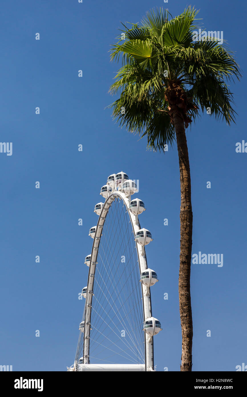 Palms High Roller