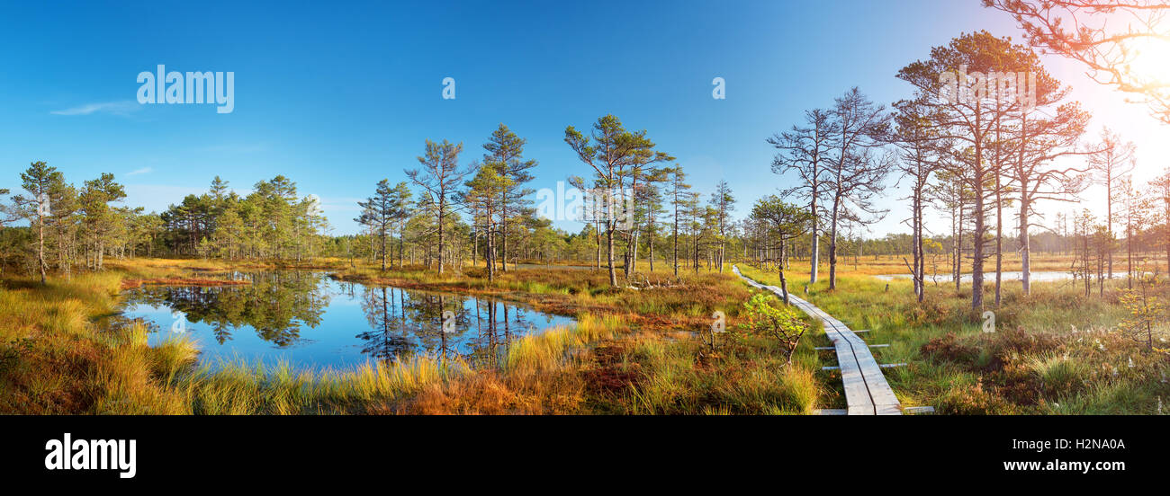 Viru bogs at Lahemaa national park Stock Photo - Alamy