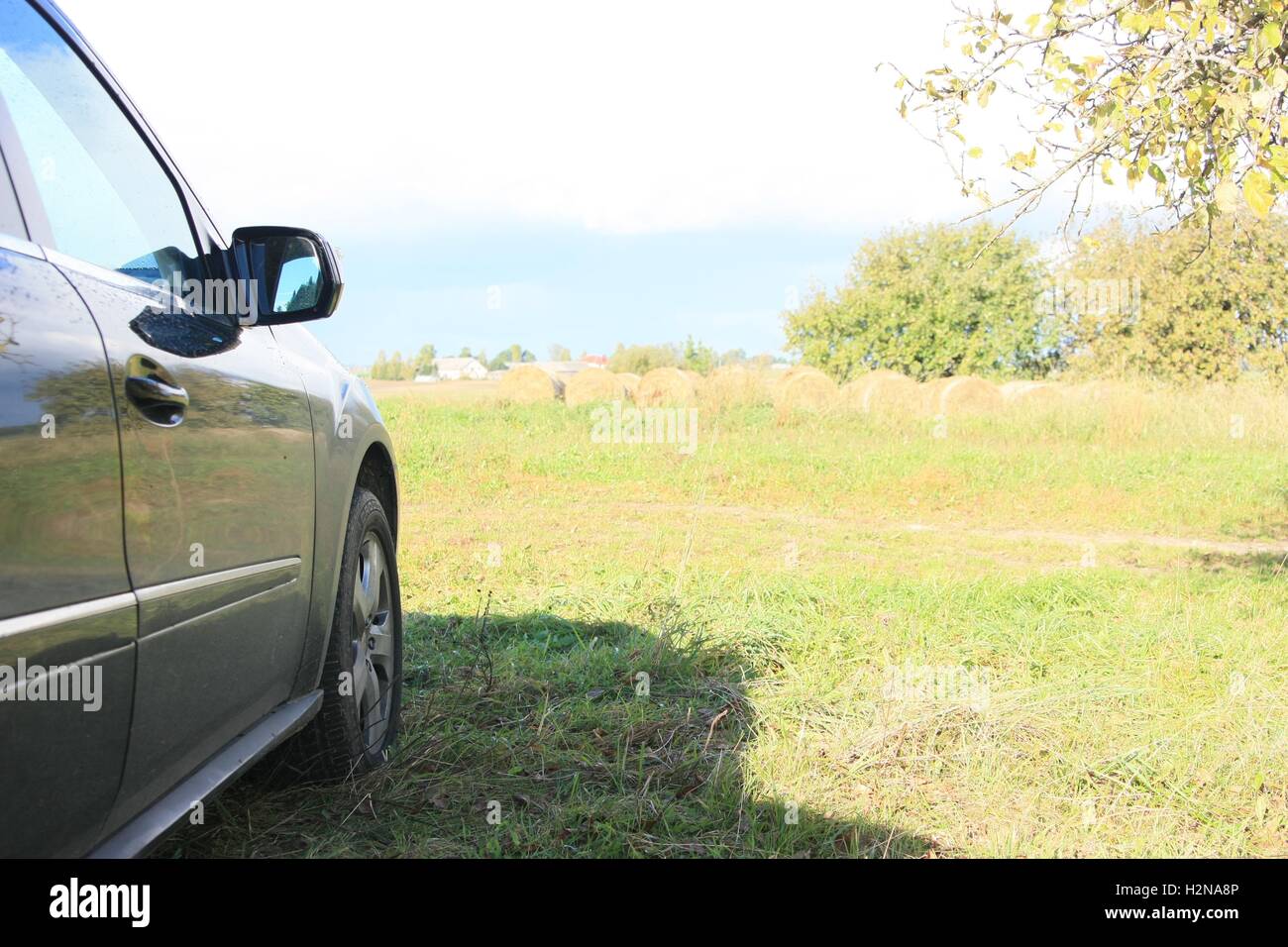 Car in the grass Stock Photo - Alamy