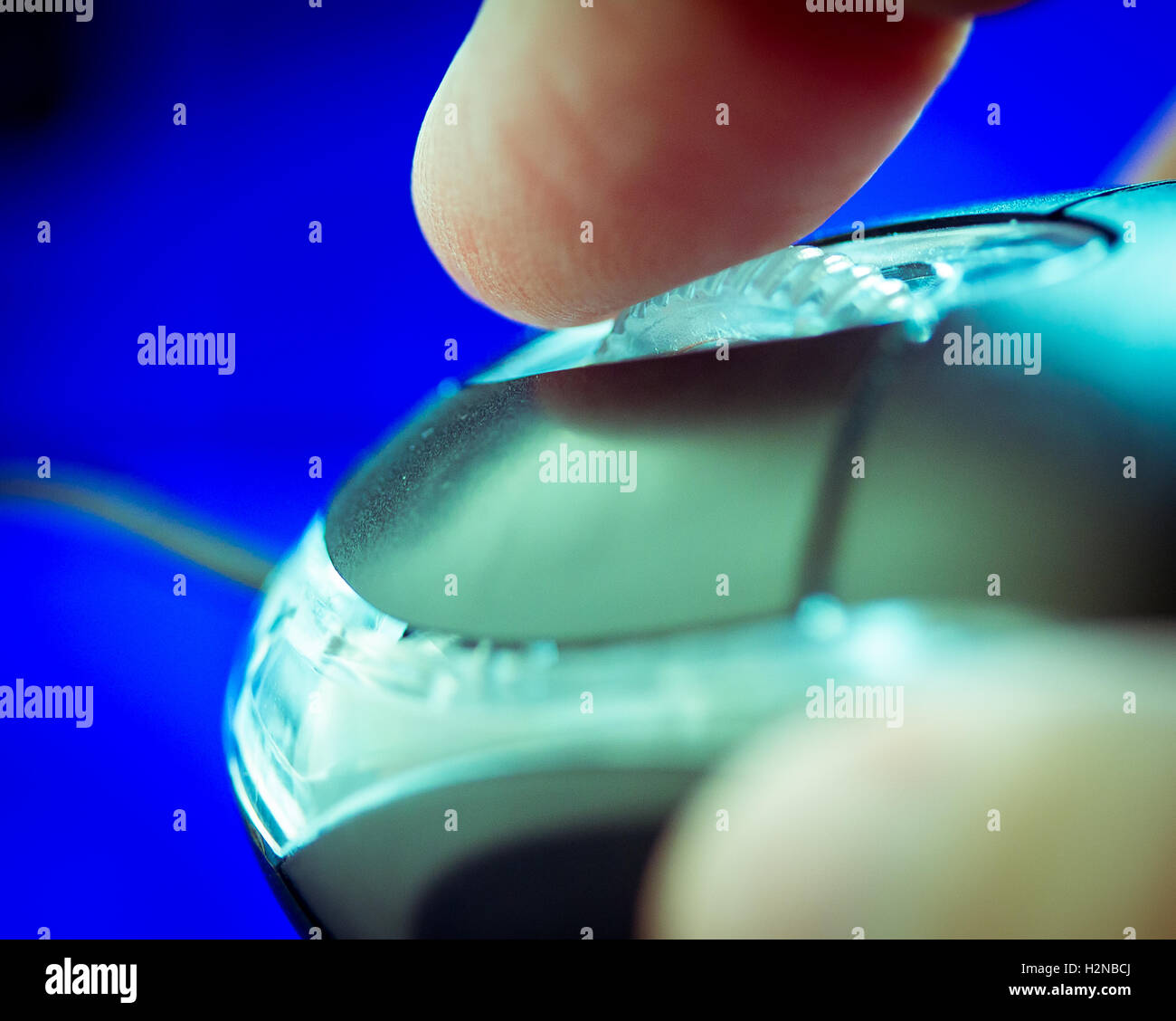 Computer Mouse Representing World Wide Web And Web Site Stock Photo - Alamy