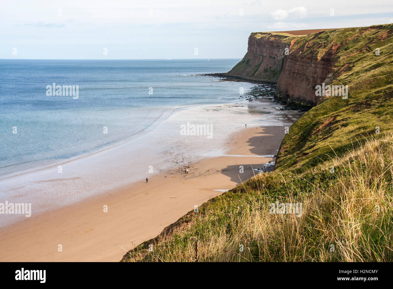 An elevated view of Saltburn by the Sea looking down to the beach and ...