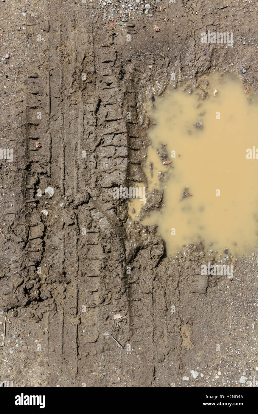 Texture of wet brown mud with car tyre tracks Stock Photo - Alamy