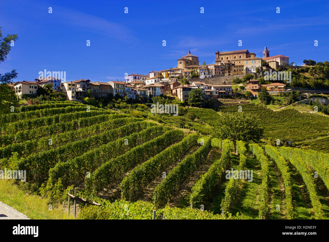 Beautiful view of la Morra town among green hills and luxurious ...