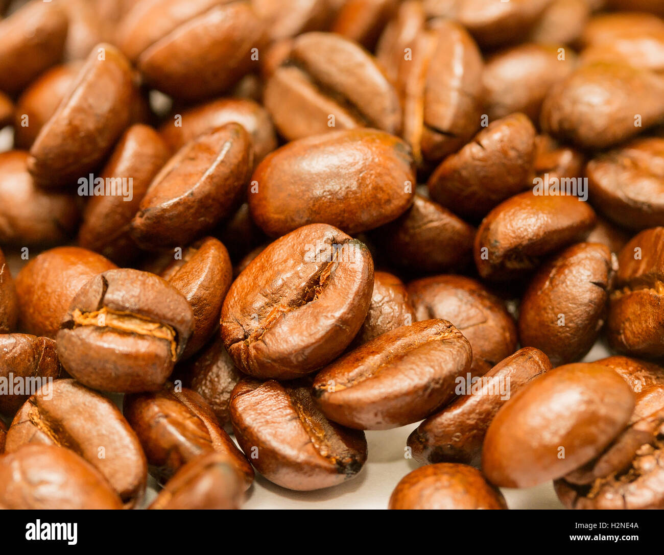 Roasted Coffee Beans Indicating Gourmet Cafe And Brew Stock Photo - Alamy Roasted Coffee Beans Indicating Gourmet Cafe And Brew Stock Photo - Alamy