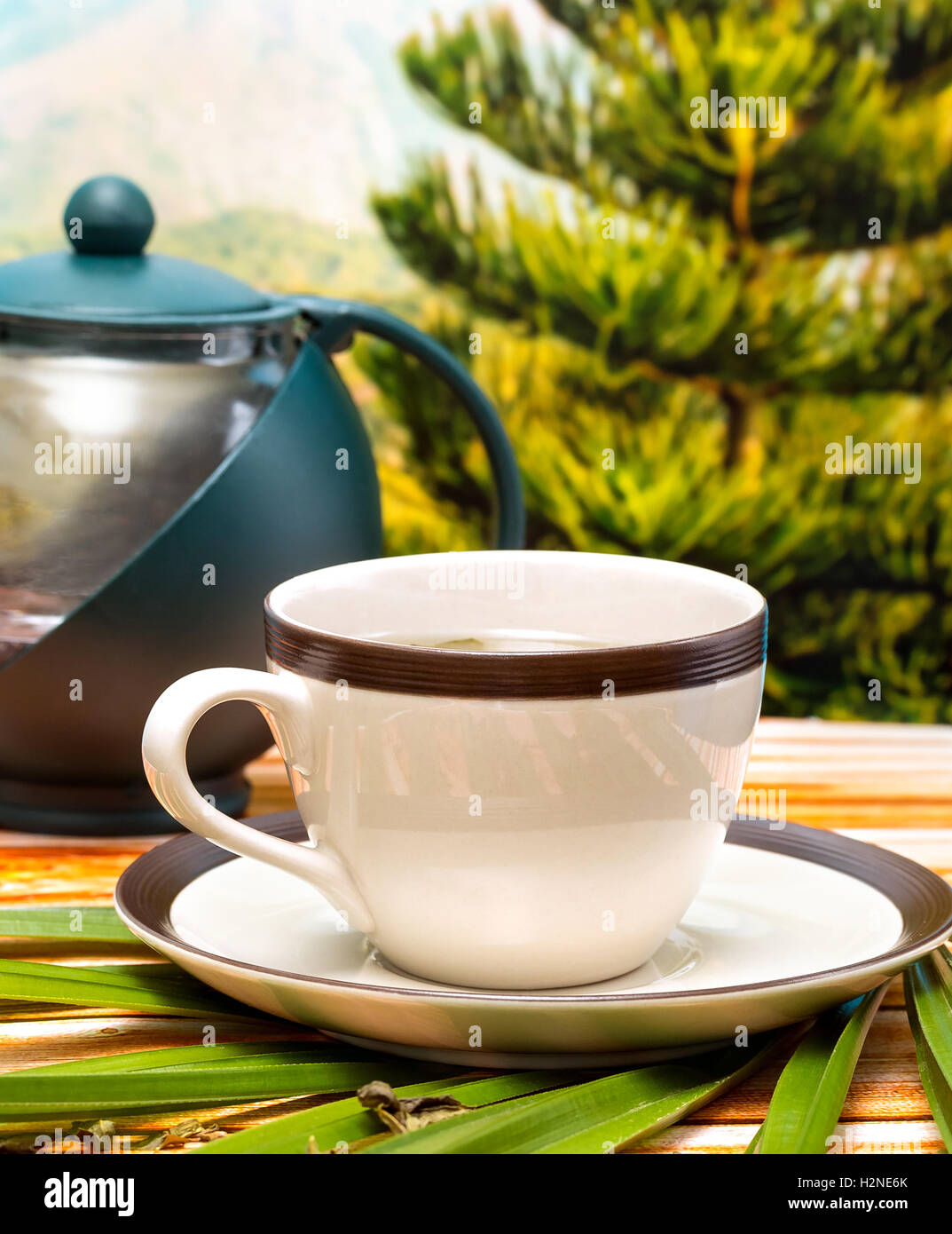 Green Tea Break Showing Refreshment Drink And Restaurants Stock Photo ...