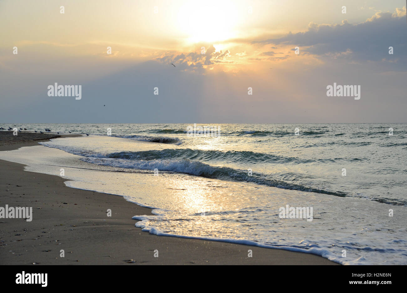 Morning on the beach Stock Photo - Alamy