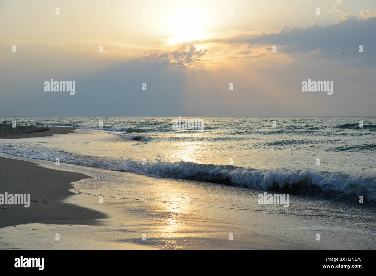 Morning on the beach Stock Photo - Alamy