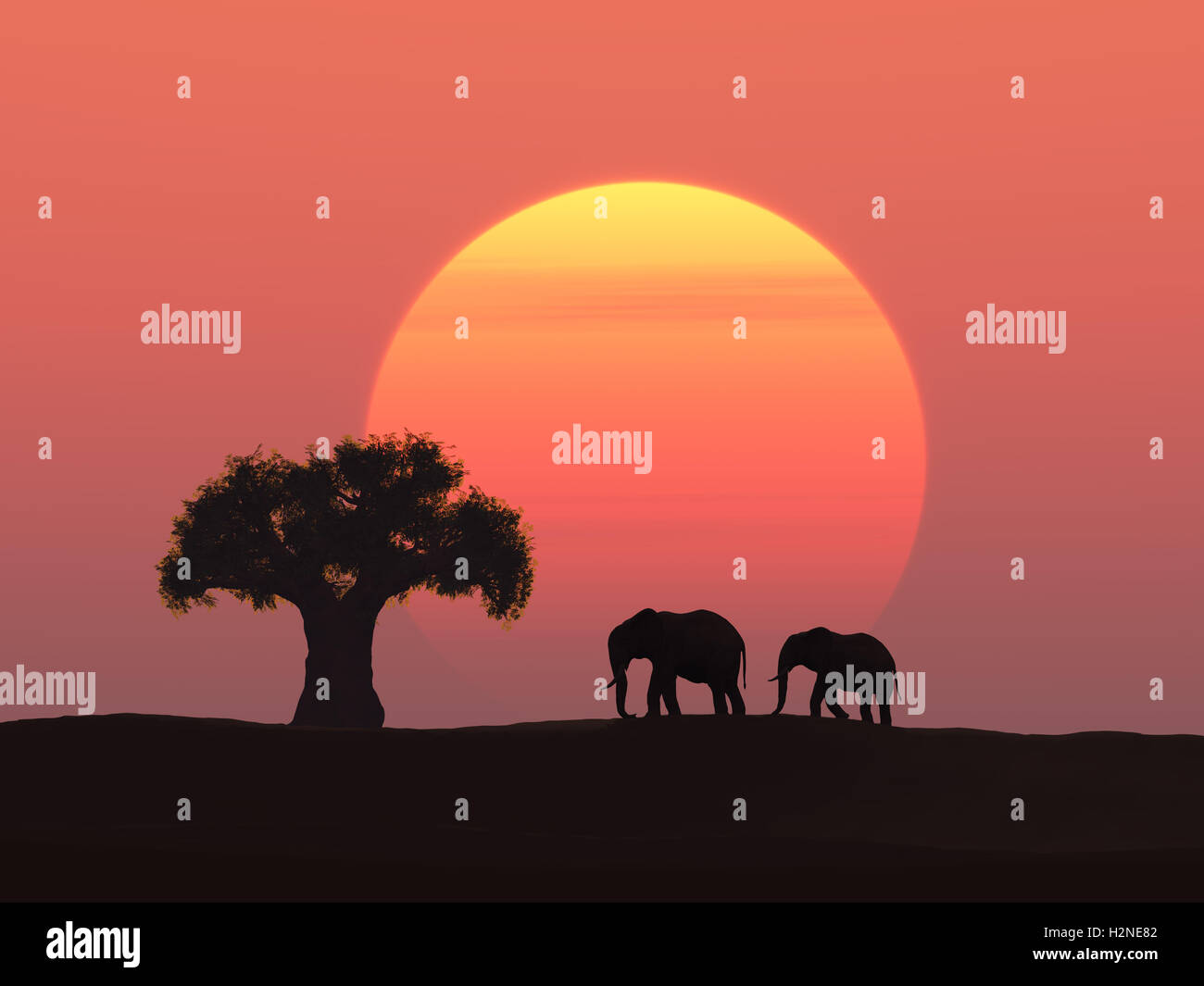 Baobab wild animals hi-res stock photography and images - Alamy