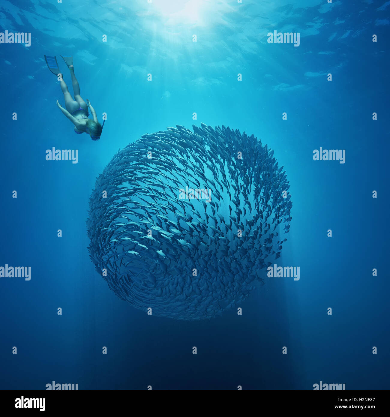 woman dives into the sea Stock Photo - Alamy