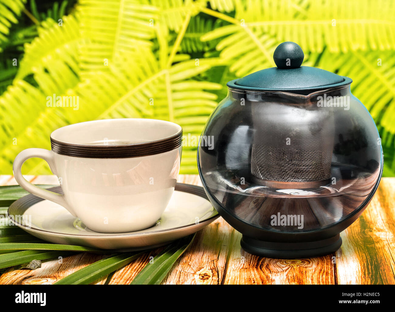 Outdoor Green Tea Indicating Refreshments Refreshed And Refreshing ...