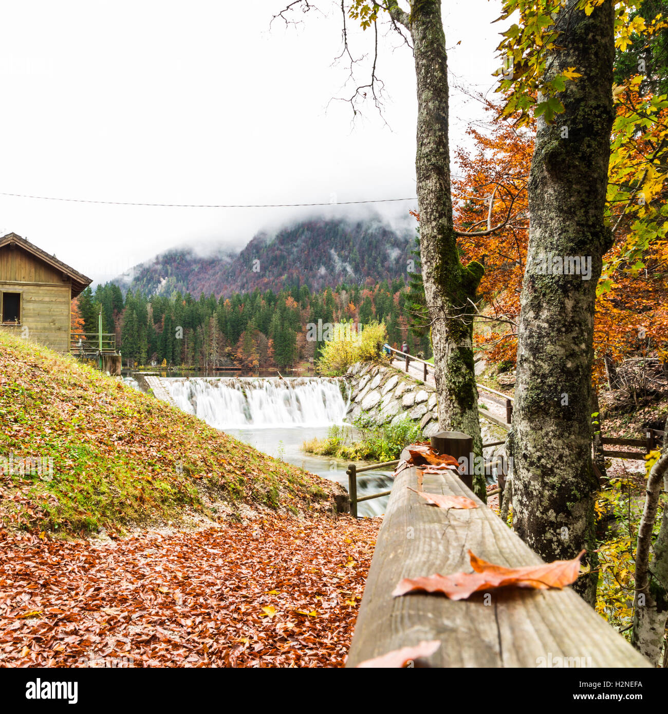 Fall in the italian alps in a misty day Stock Photo - Alamy