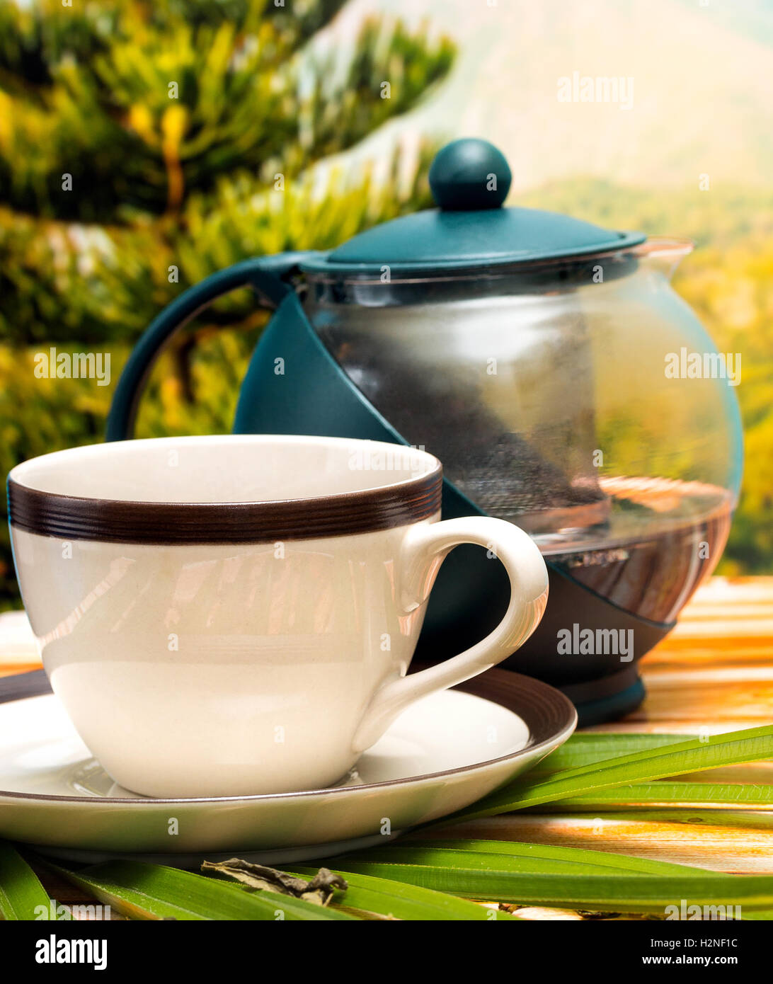 Refreshing Outdoor Tea Meaning Refreshments Teas And Beverage Stock ...