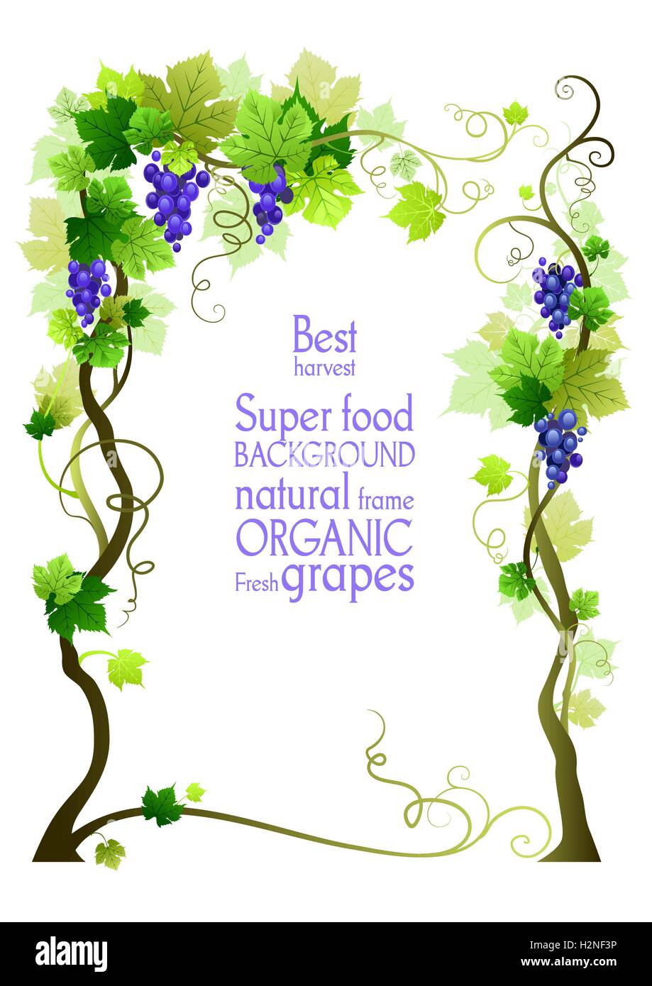 Grape vine border corner hi-res stock photography and images - Alamy