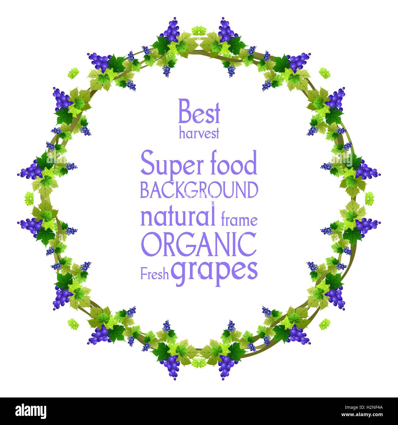 Blue grape frame Stock Vector Image & Art - Alamy