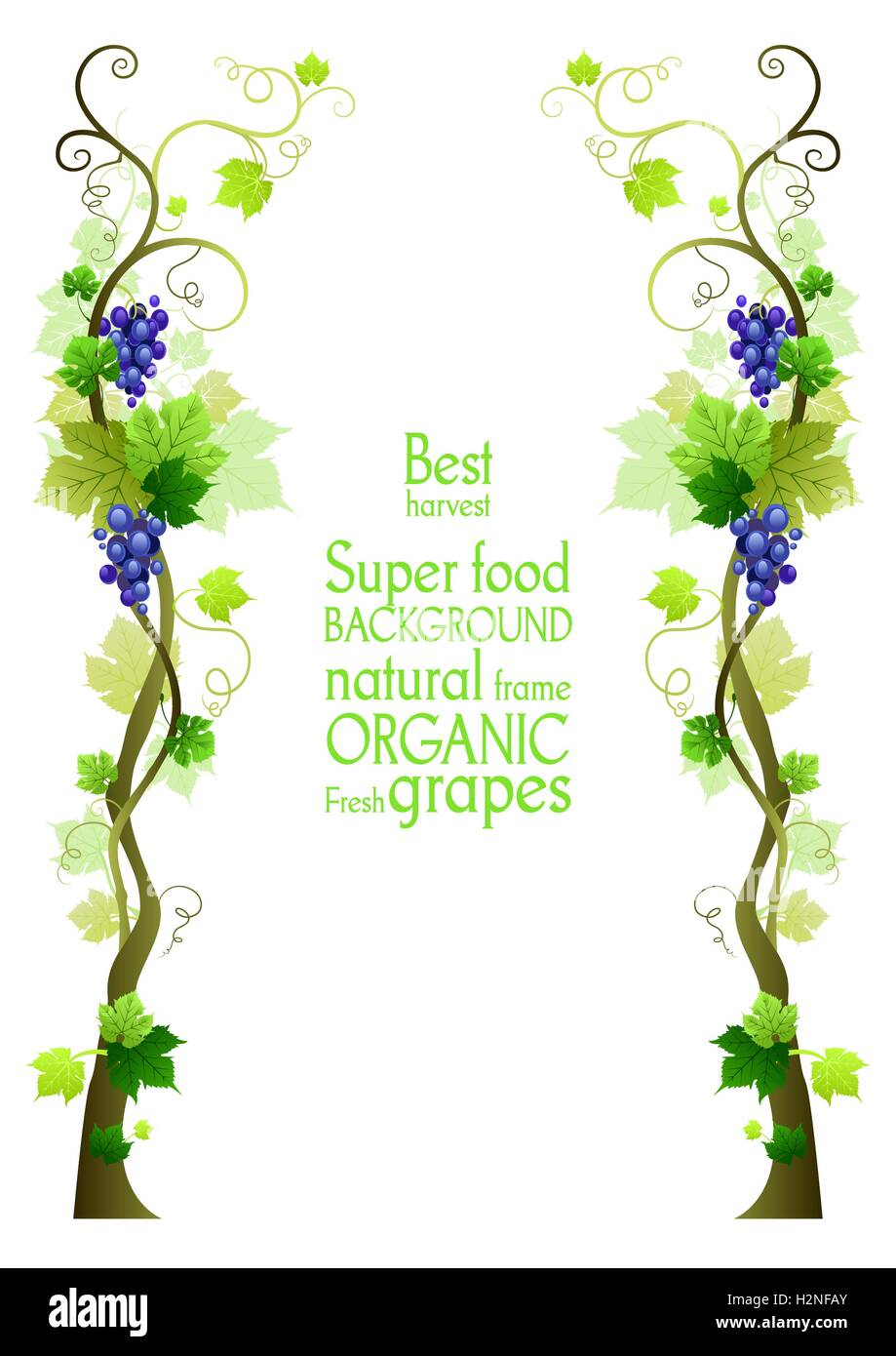 Frame with grape Stock Vector Image & Art - Alamy