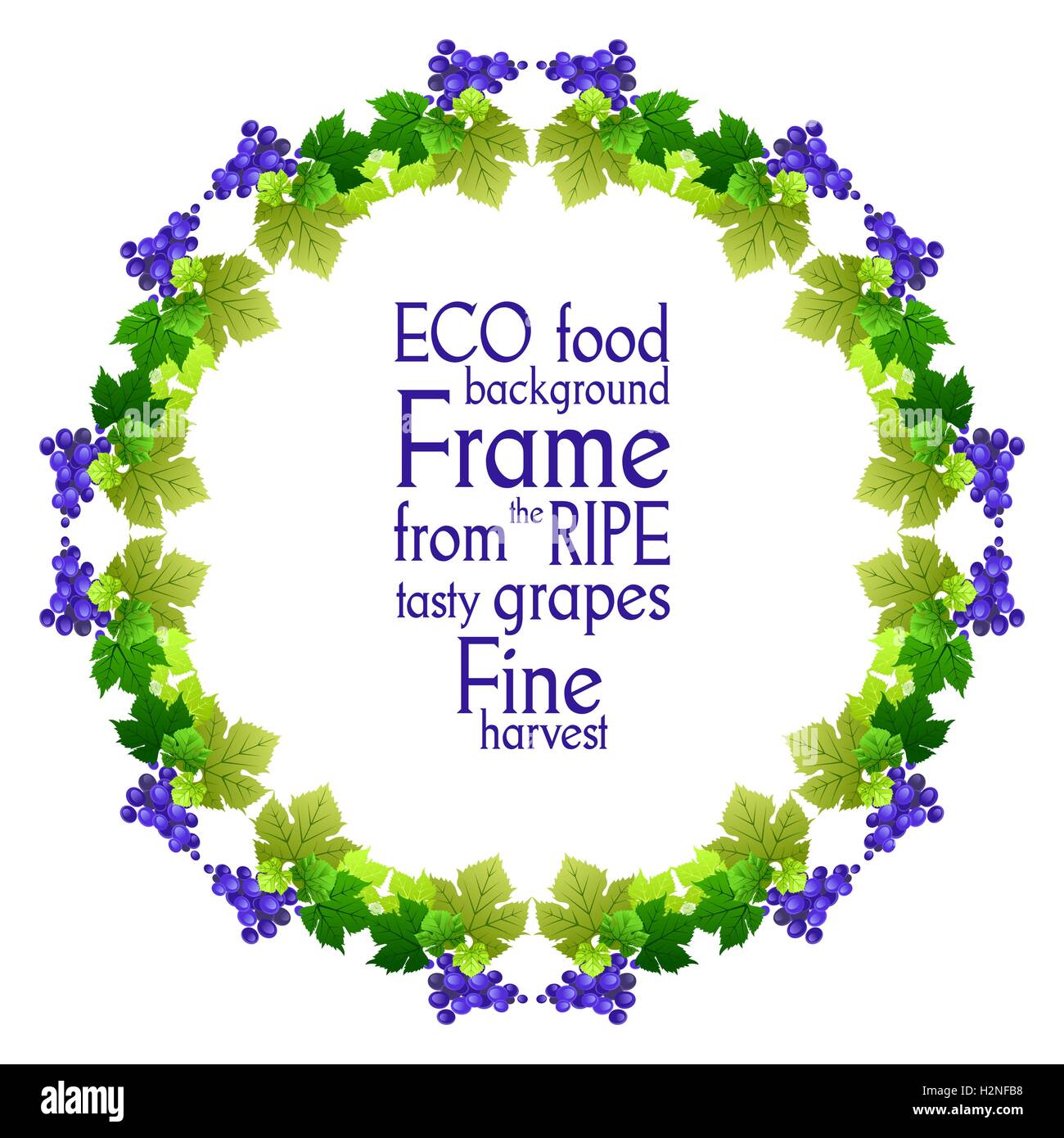 Grape vine border hi-res stock photography and images - Alamy