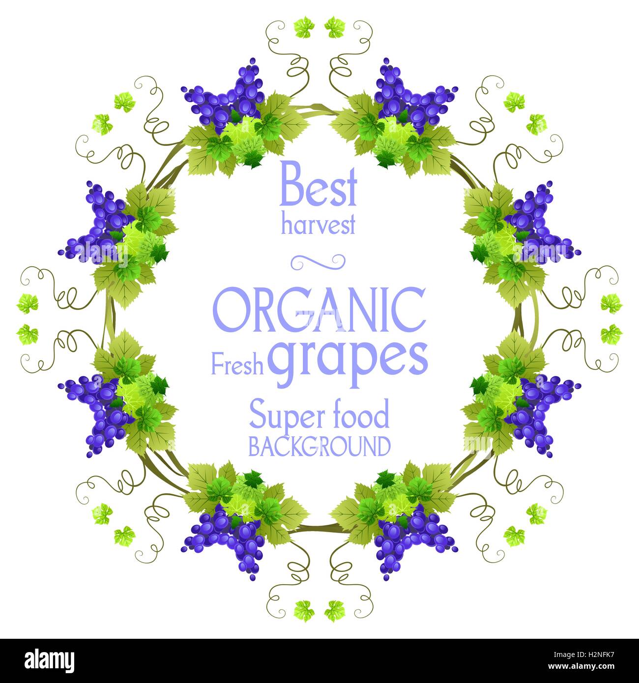 Super grape frame Stock Vector Image & Art - Alamy