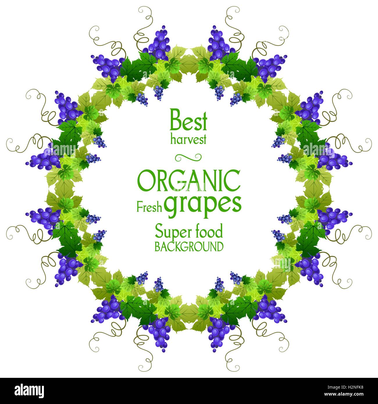 Grape vine line art hi-res stock photography and images - Alamy